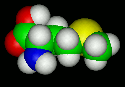 Methionine Molecule